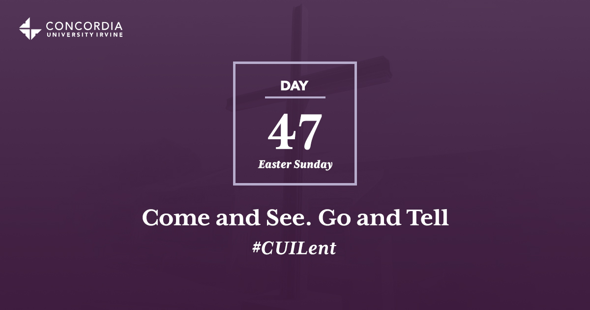 Come and See. Go and Tell.