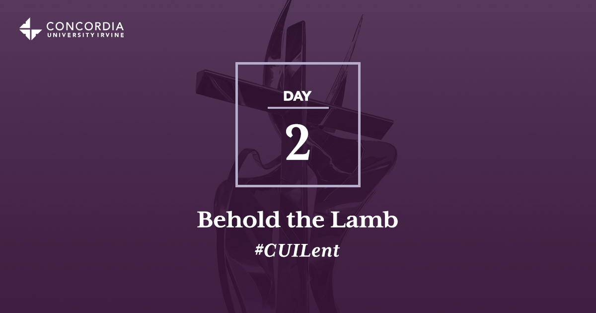 Behold the Lamb