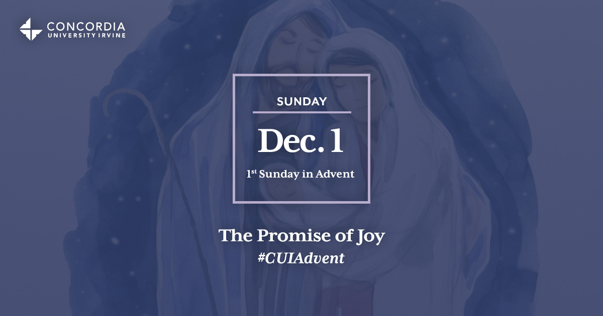 The Promise of Joy