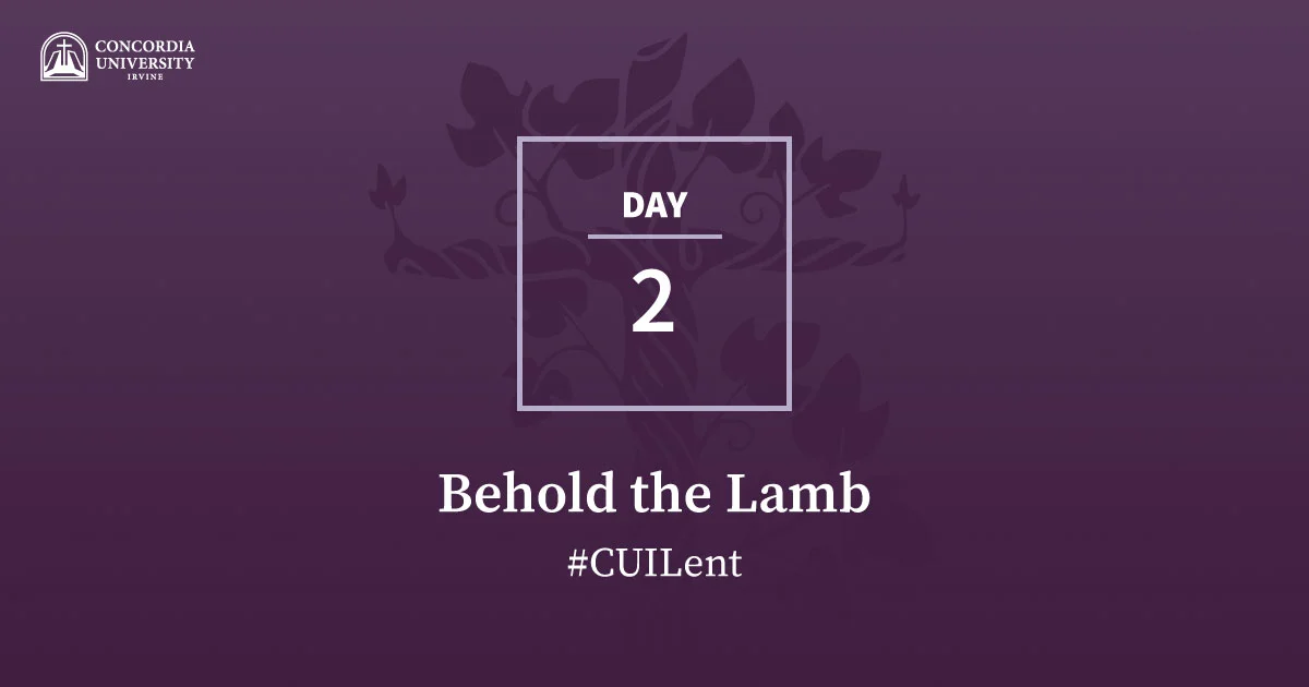Behold the Lamb
